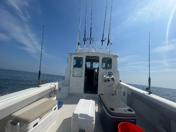 Spend a day aboard the City Hawk II :: City Hawk