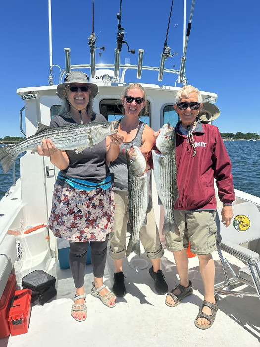 Home [www.cityhawkcharters.com]